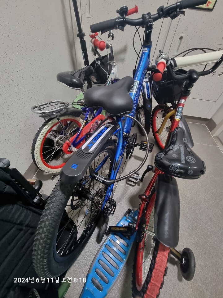 K2바이크 덱스터 2.1D 22 (2024년형) - 에누리 가격비교