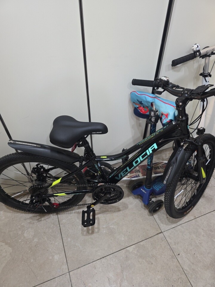 K2바이크 덱스터 2.1D 22 (2024년형) - 에누리 가격비교